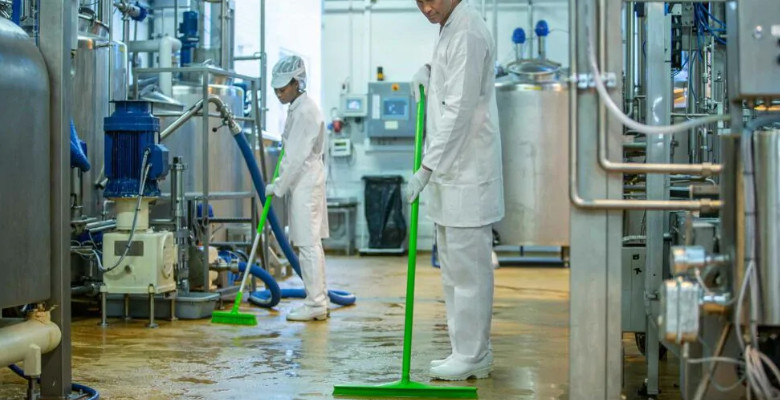 por qué es importante el uso del haragán en la limpieza doméstica